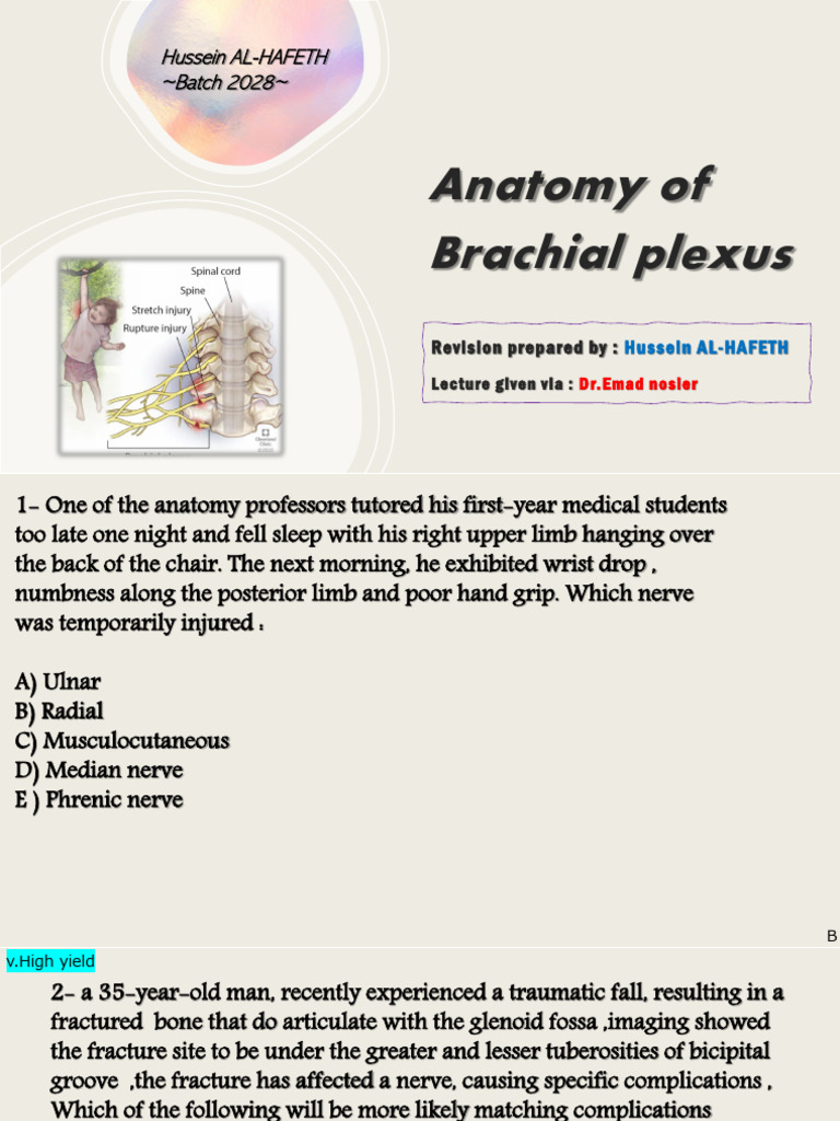 Brachial Plexus Anatomy and Injuries | PDF | Arm | Anatomy