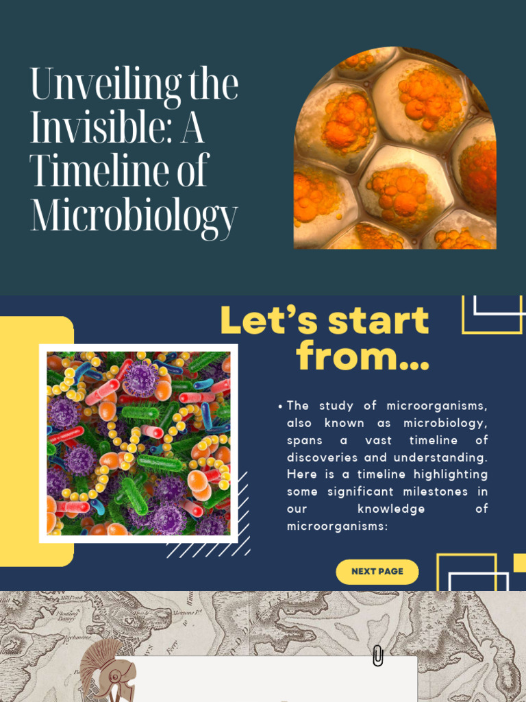 Micro Timeline | Download Free PDF | Microbiology | Dna