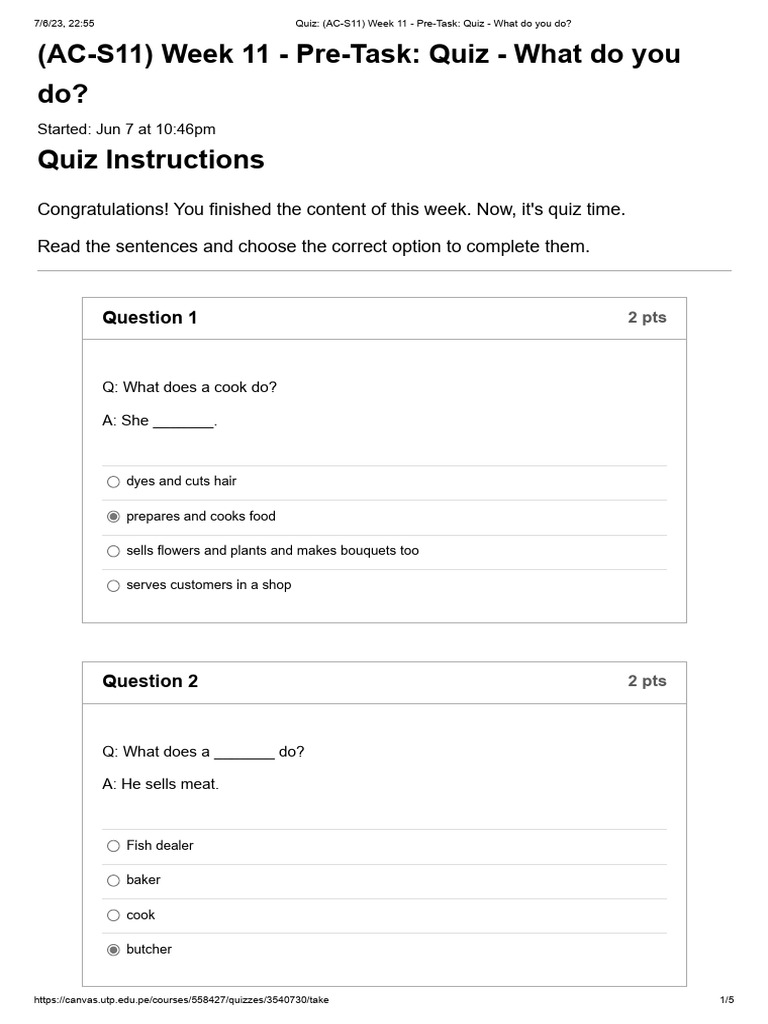 Quiz - (AC-S11) Week 11 - Pre-Task - Quiz - What Do You Do | PDF