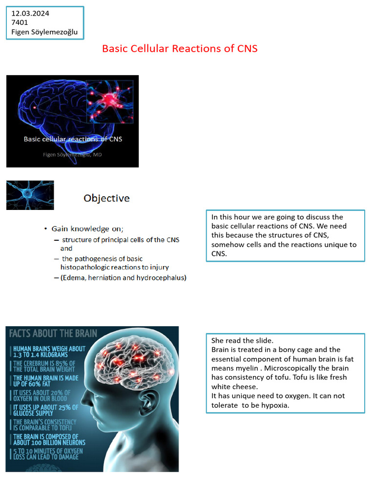 7401 Basic Cellular FUnctions of CNS | PDF | Myelin | Cerebrospinal Fluid