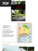 Secuencia Texto Informativo. Lobos | PDF | Enseñando | Comunicación humana