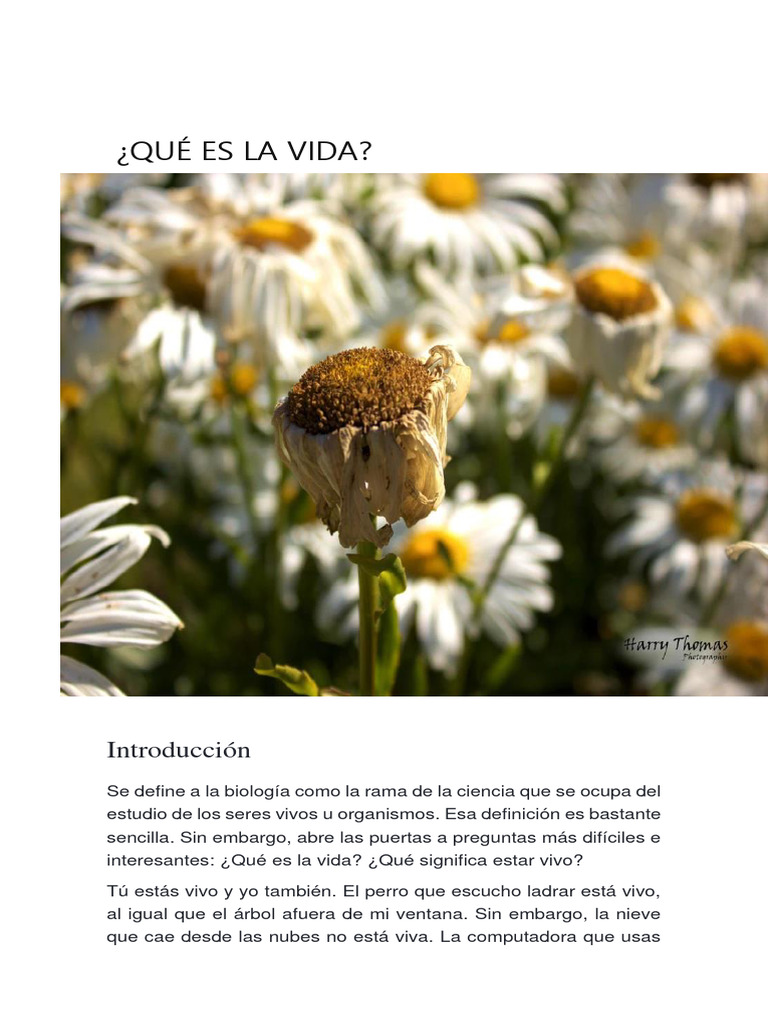 Qué Es La Vida | PDF | Organismos | Metabolismo