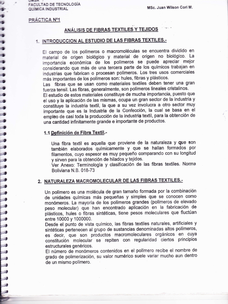 Guia Lab 01 | Descargar gratis PDF | Polímeros | Textiles