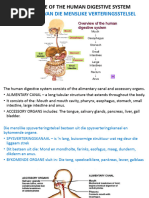 Necropsy Report | PDF | Stomach | Autopsy