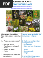 Afrikaans FAL Grade 12 Cheat Sheet | PDF