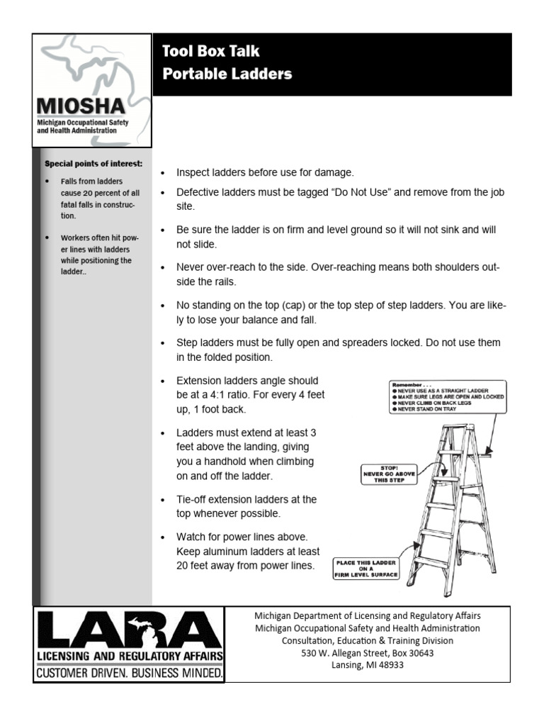 Portable Ladders | Download Free PDF | Ladder | Safety