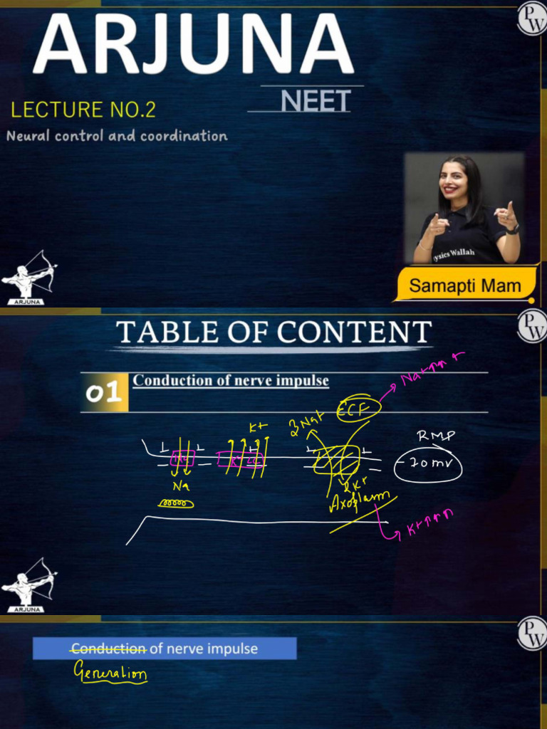 Neural Control and Coordination 02 - Class Notes - (Arjuna NEET 2023) | PDF