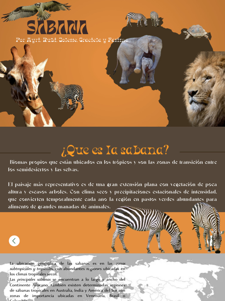 La Sabana | Descargar gratis PDF | Sabana | Zona tropical