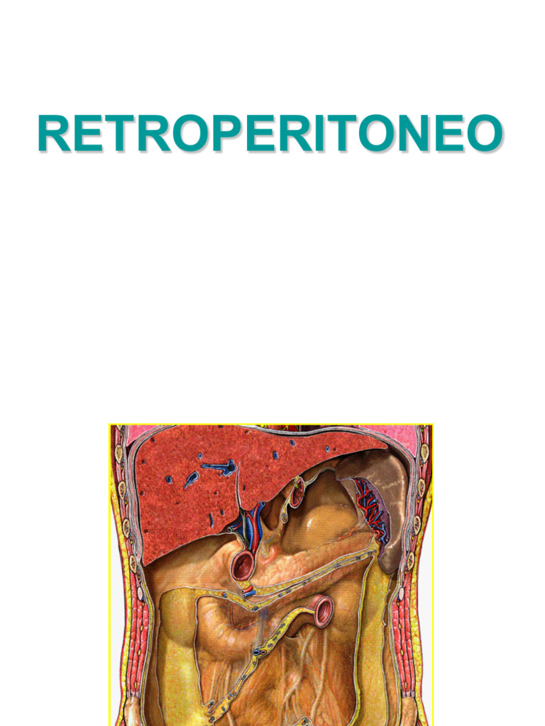 Clase 1 Retroperitoneo | PDF | Riñón | Abdomen
