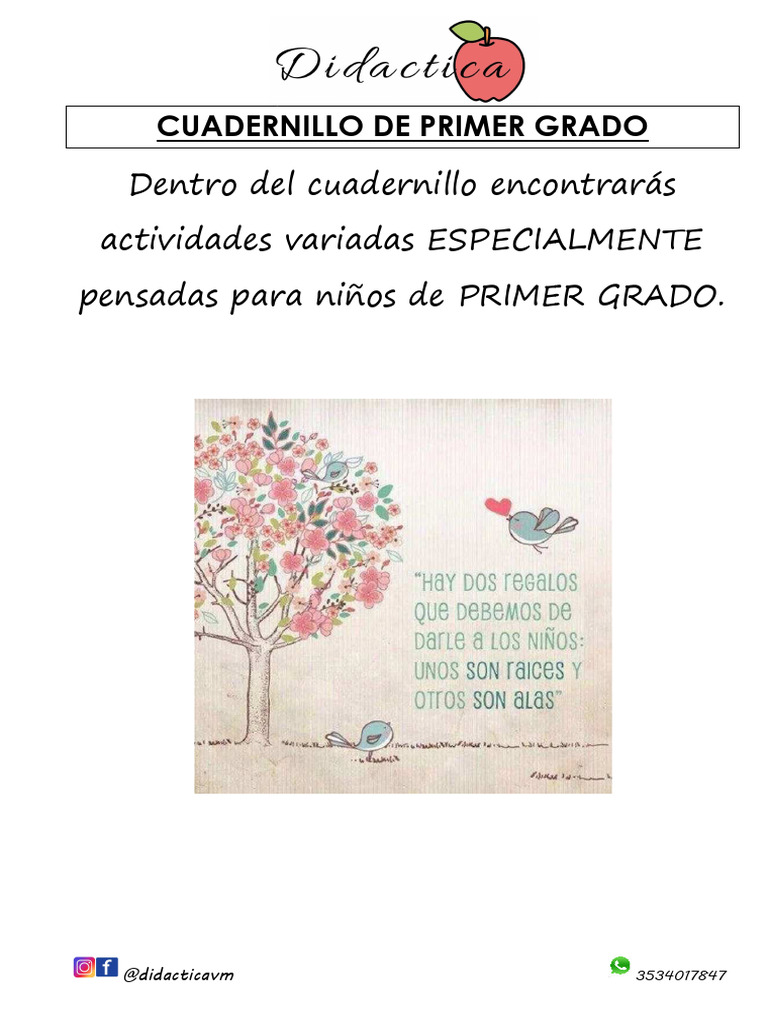 Primer Grado | PDF