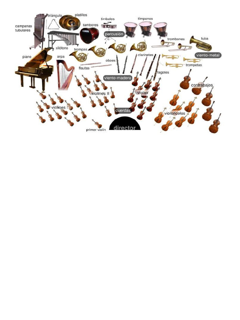 Instrumentos Musicales | PDF