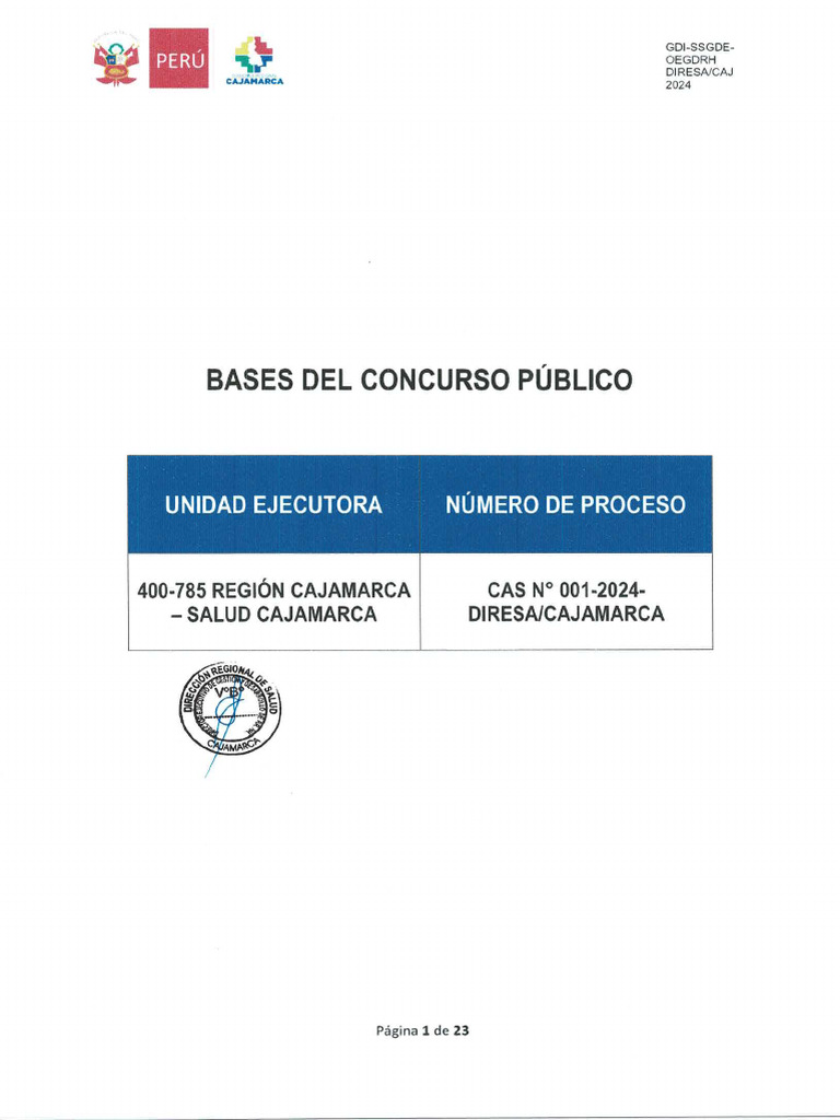 Bases Concurso Público Cas N 001-2024-Diresa-Cajamarca | PDF