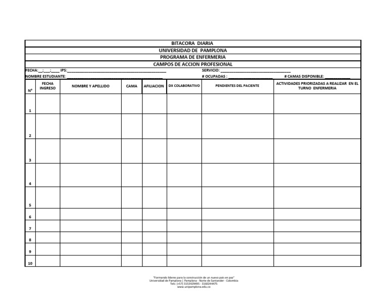 Bitacora Diaria 2024-1 | PDF