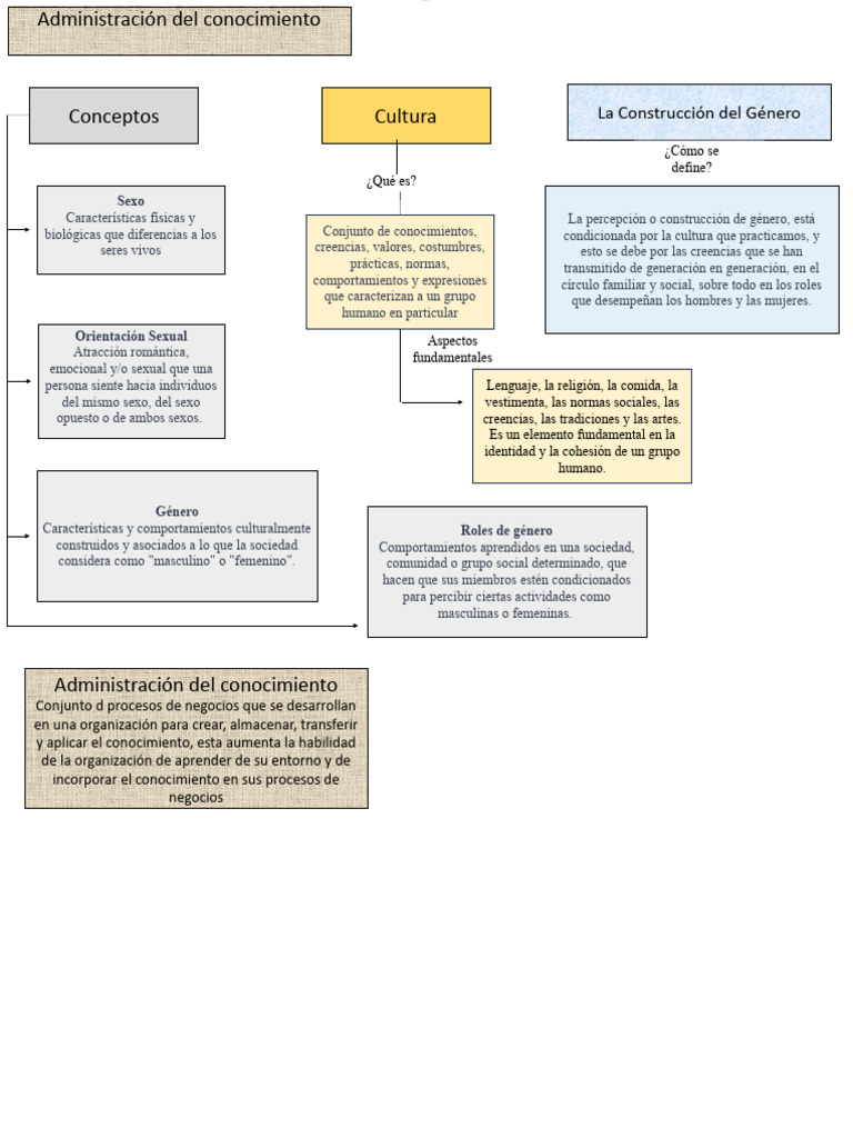Mapa Conceptual | PDF | Género | Estudios de género
