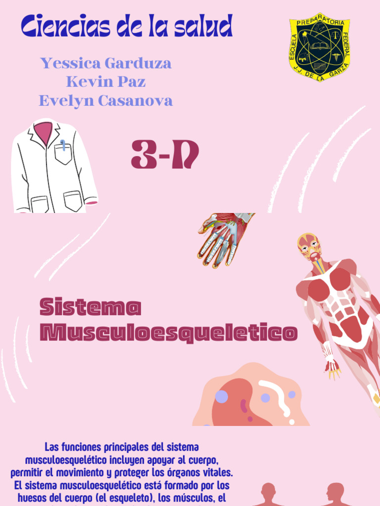 Músculo Esquelético Pdf Hueso Esqueleto