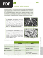 Tropismo: tipos y ejemplos en plantas | PDF | Botánica | Plantas