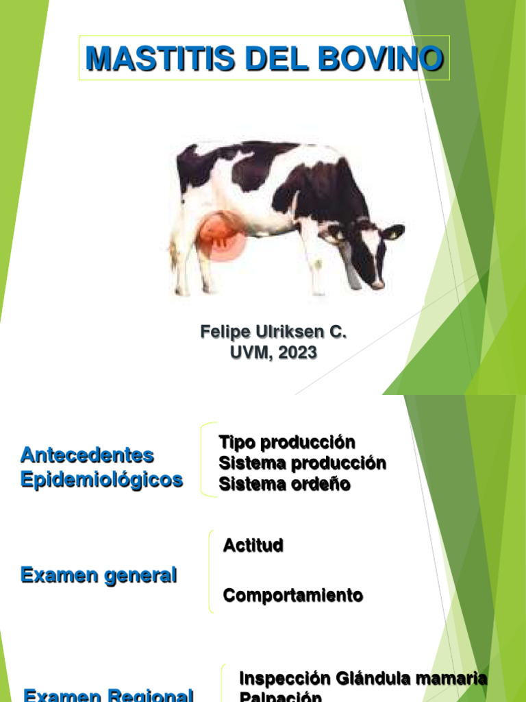 Mastitis | PDF | Leche | Enfermedades y trastornos