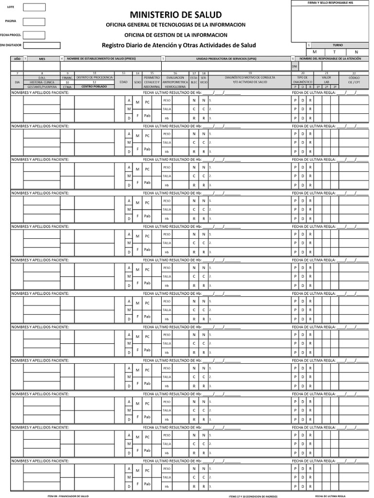 Formato HIS para 2020 - Lado A | PDF