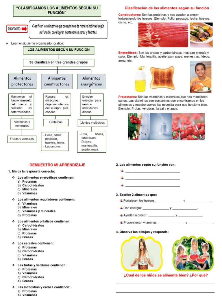Ficha Clasificamos Los Alimentos Según Su Función | PDF | Alimentos | Vitamina