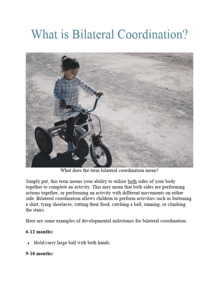 Bilateral Coordination Milestones | PDF