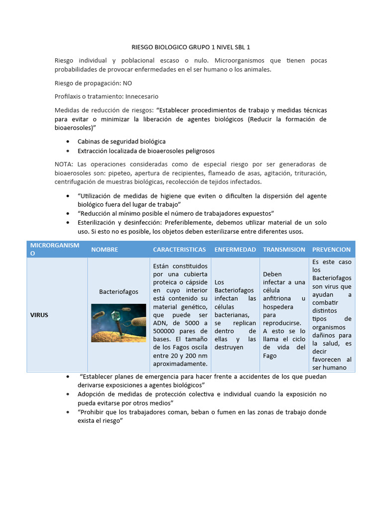 Riesgo Biologico Grupo 1 Nivel SBL 1 | PDF | Bacteriófago | Virus