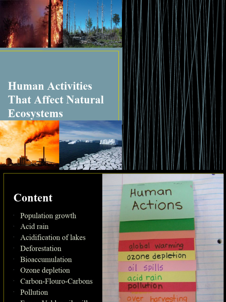 Human Activities That Affect Natural Ecosystems | PDF | Climate Change ...