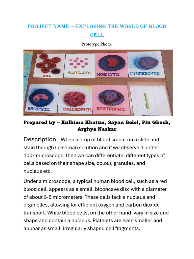 Blood Cell | PDF | Science & Mathematics
