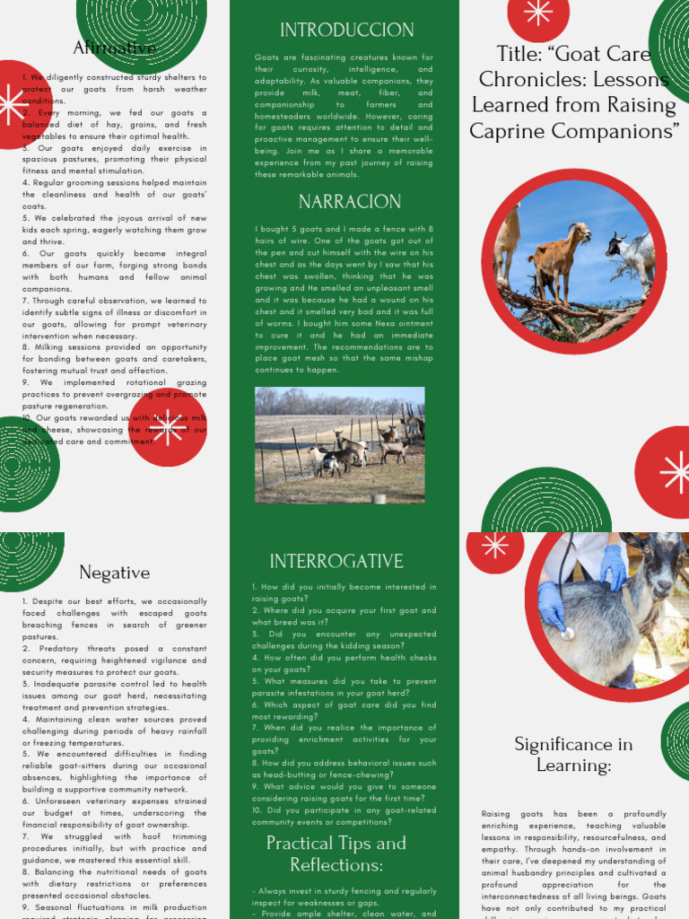Essential Goat Care Tips and Insights | PDF | Goat