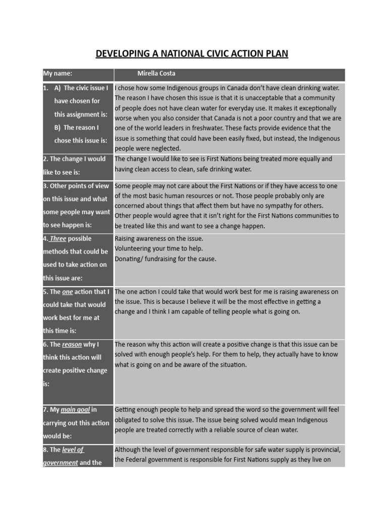 Developing A National Civic Action Plan Worksheet | PDF | Drinking ...