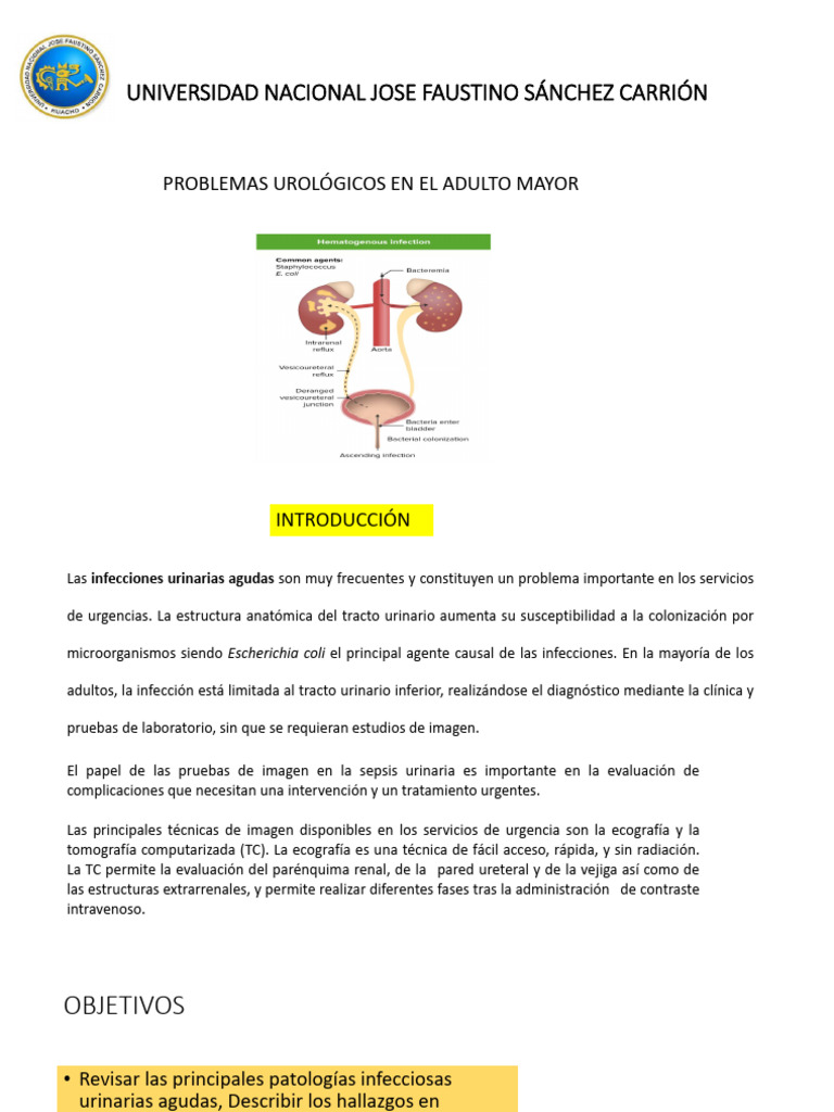 Problemas Urológicos en Adultos Mayores | PDF | Infección del tracto ...