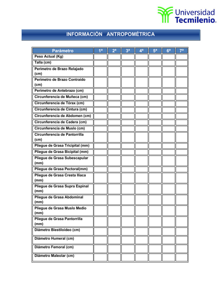 Formato+de+Mediciones | PDF