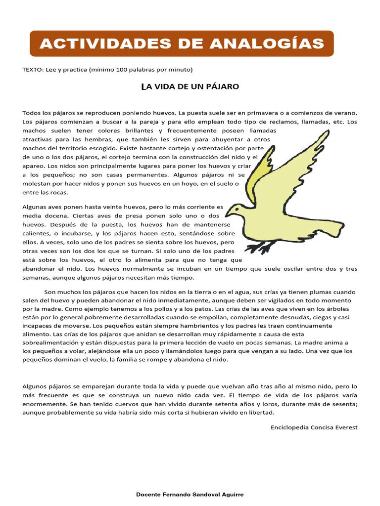 Guía de Analogías # 2 Grado Tercero | PDF | Aves | Huevo