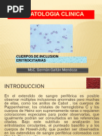 Alteraciones Morfológicas de Los Eritrocitos | PDF | Medicina CLINICA ...