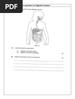 Lower Secondary Science Revision Guide | PDF