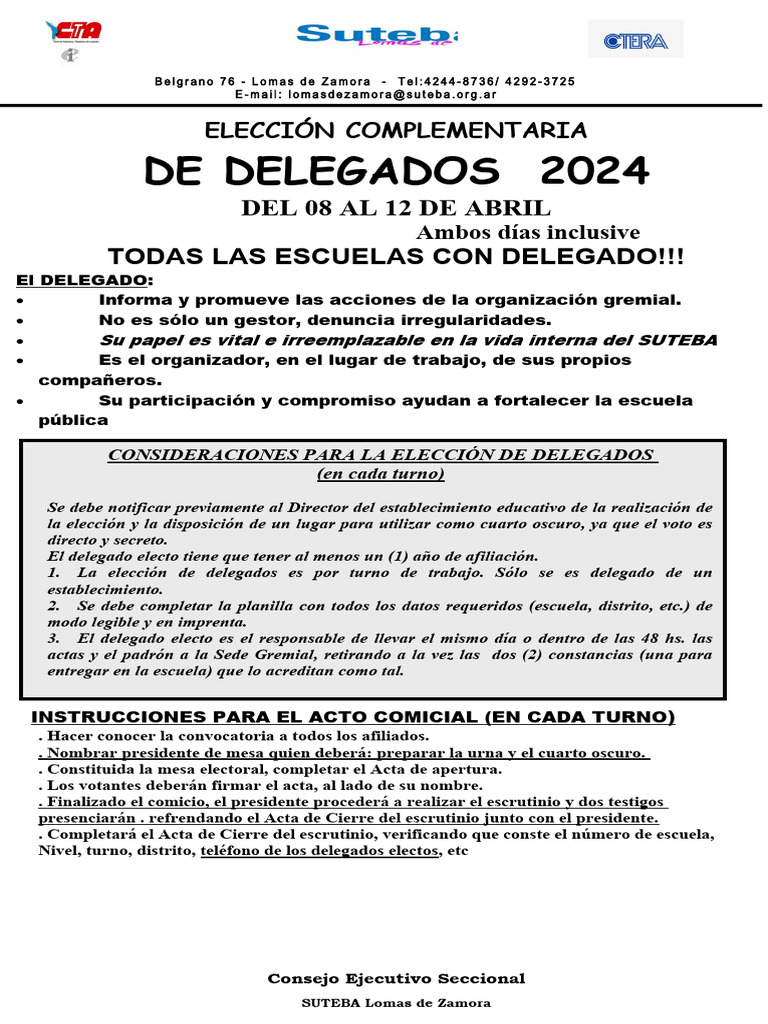 Instructivo Delegados Complementarios 2024 | PDF
