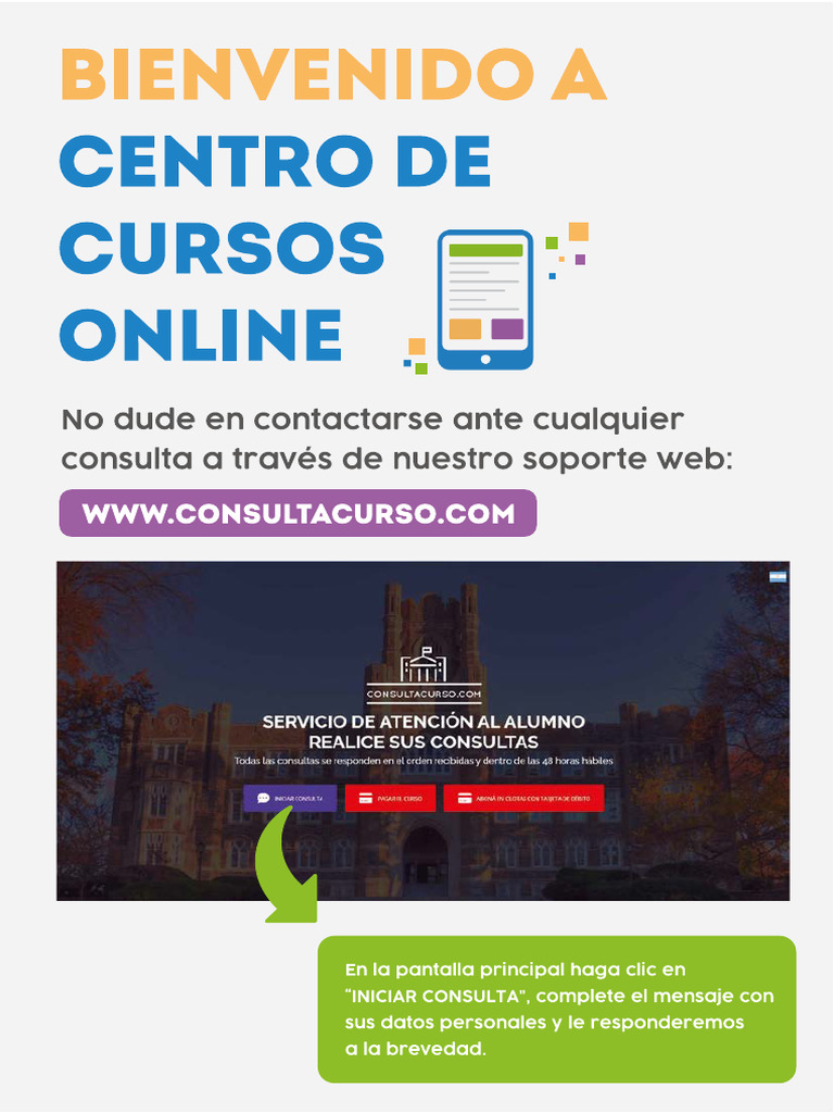 Soporte Web para Consultas | PDF