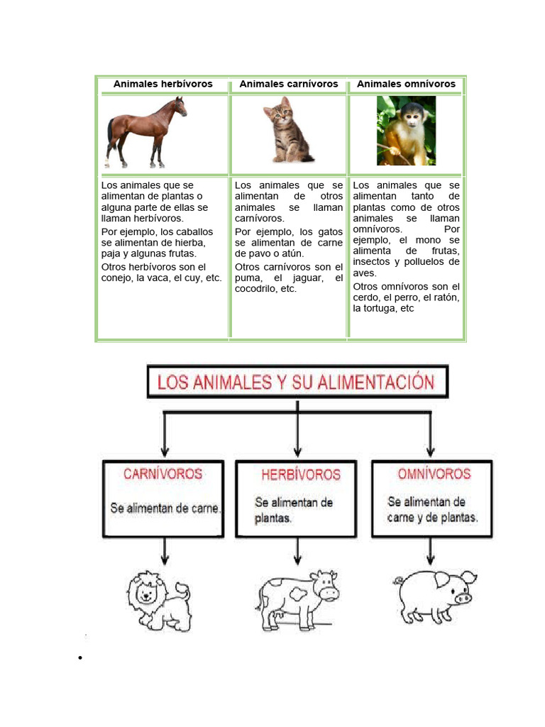Animales Herbívoros | PDF