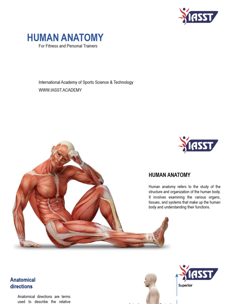 Human Anatomy | PDF | Anatomical Terms Of Motion | Anatomical Terms Of ...