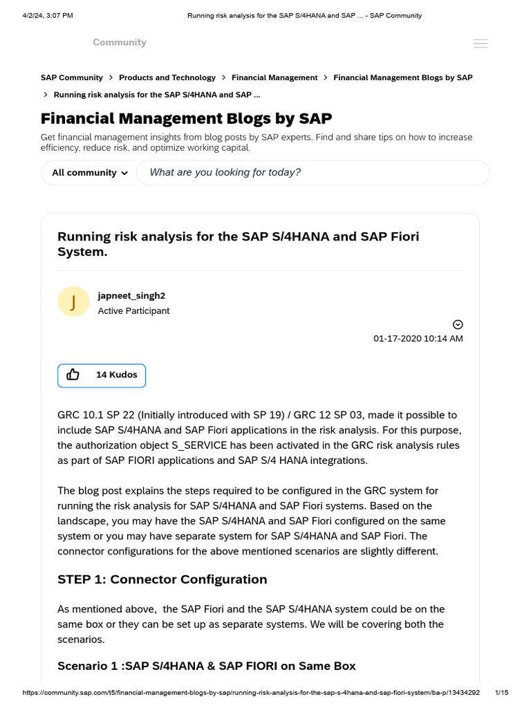 SAP Risk Analysis Setup Guide | PDF | Risk | Risk Management