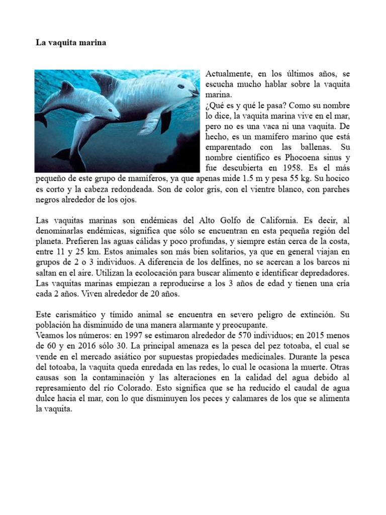 La Vaquita Marina | PDF