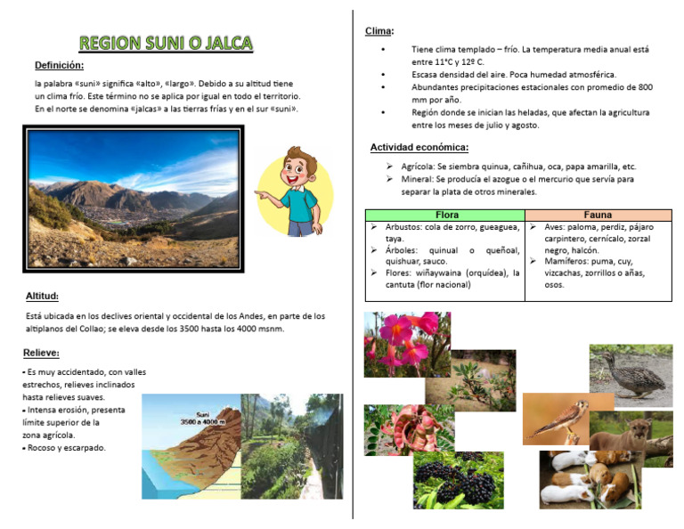 Region Suni | PDF | Ciencias de la Tierra | Geografía Física