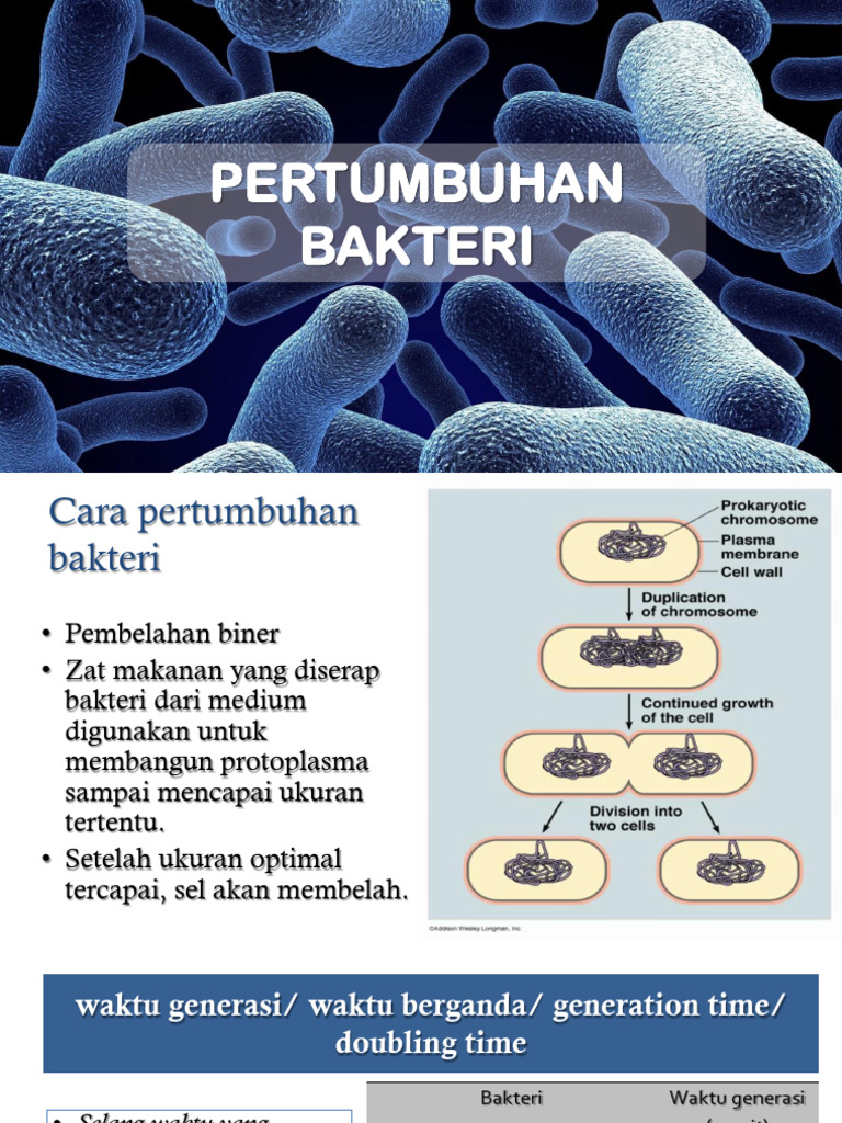 Pertumbuhan Bakteri | PDF