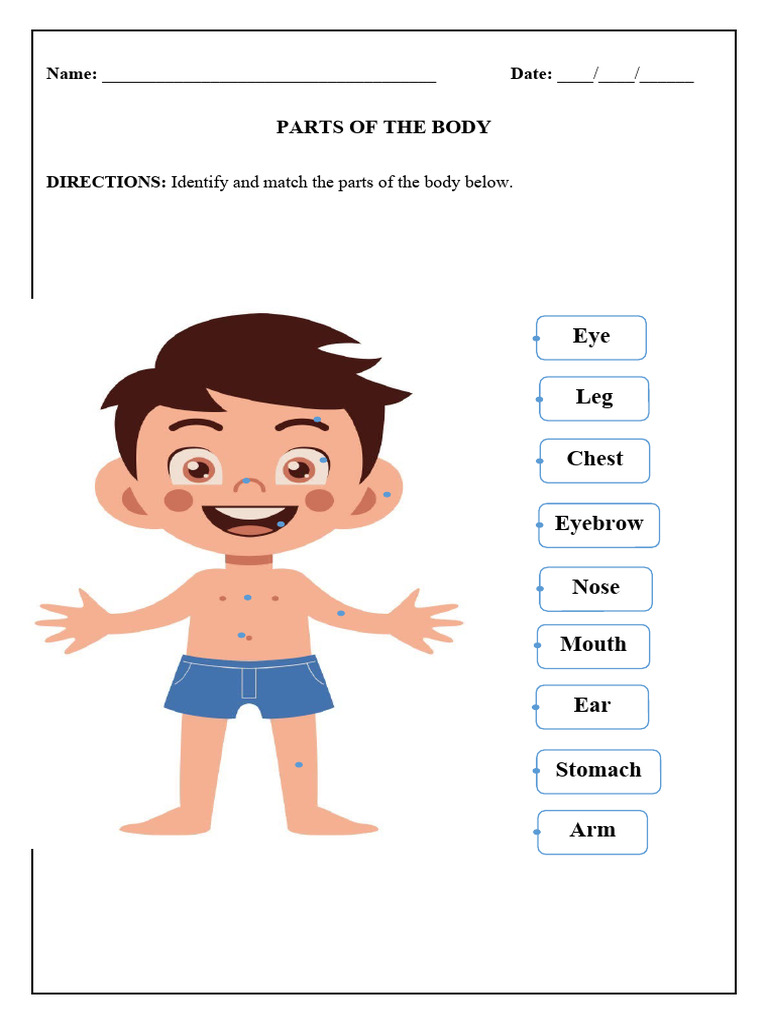 Parts of the Body Worksheets | PDF