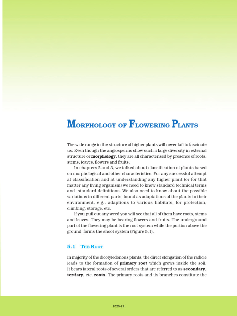 Dendrology 1 | PDF | Leaf | Seed