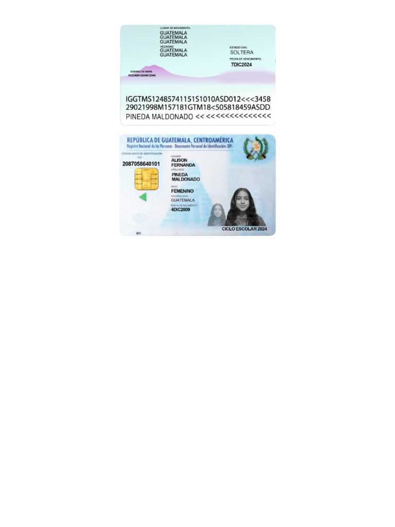 Impre DPI Alison | PDF