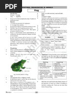Frog Dissection Guide | PDF