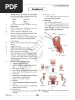 Cockroach Dissection | PDF | Wellness