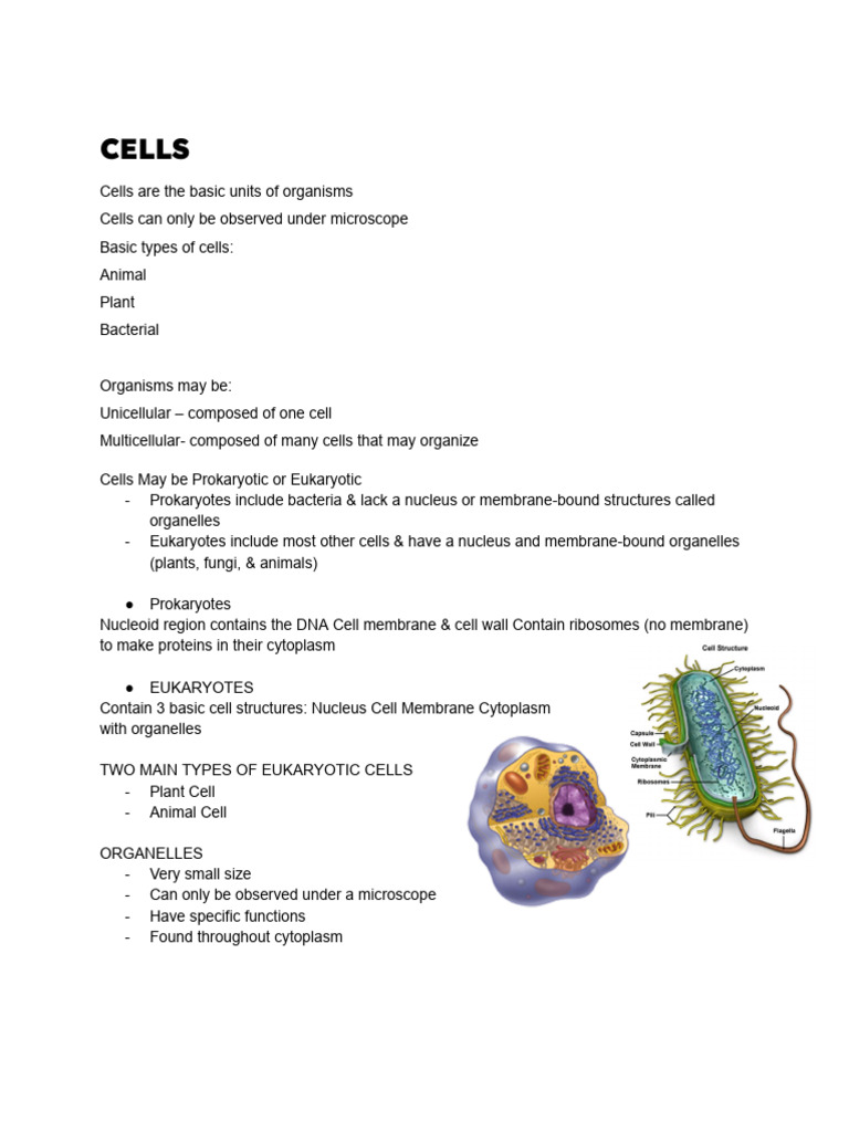 Cells Reviewer | PDF | Cell (Biology) | Endoplasmic Reticulum