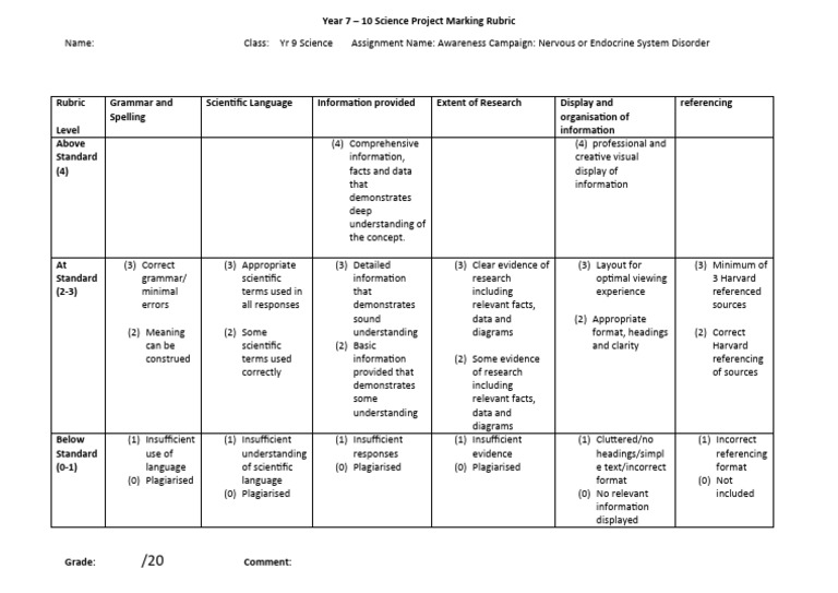 LT 1 Awareness Campaign Rubric | PDF | Information | Plagiarism