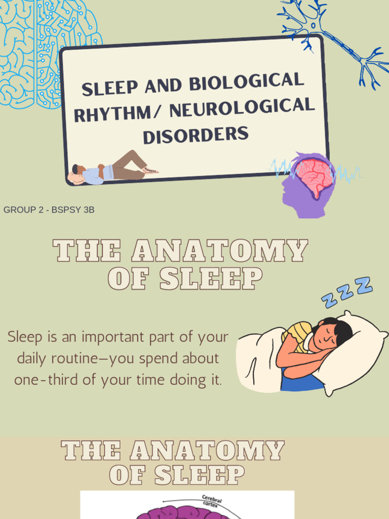 GRP. 2 - 3B Sleep and Biological Rhythm Neurological Disorder | PDF ...
